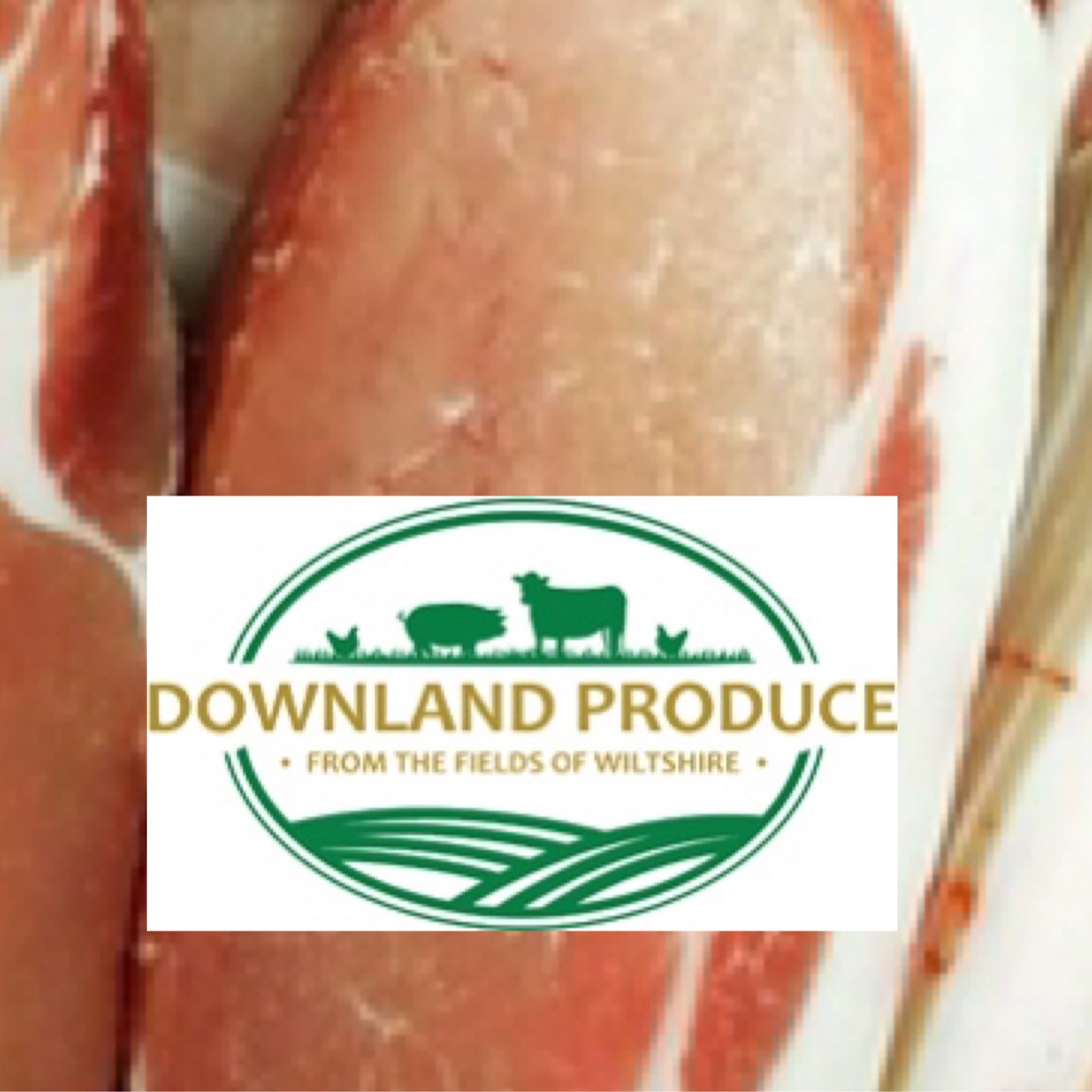Meat, Fish & Charcuterie | The Deli Downstairs